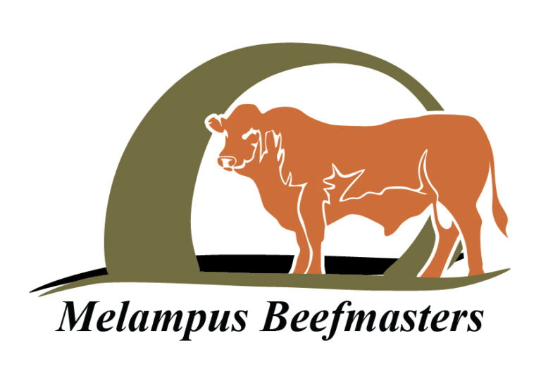 Members – Beefmaster SA